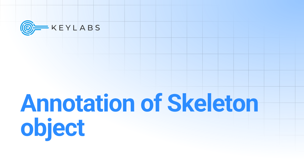 Annotation of Skeleton object | Keylabs Guidelines
